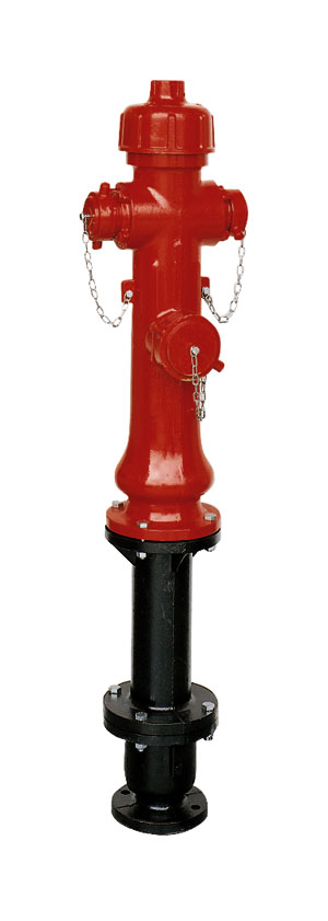 IDRANTE SOPRASSUOLO DN 100x2 UNI 70